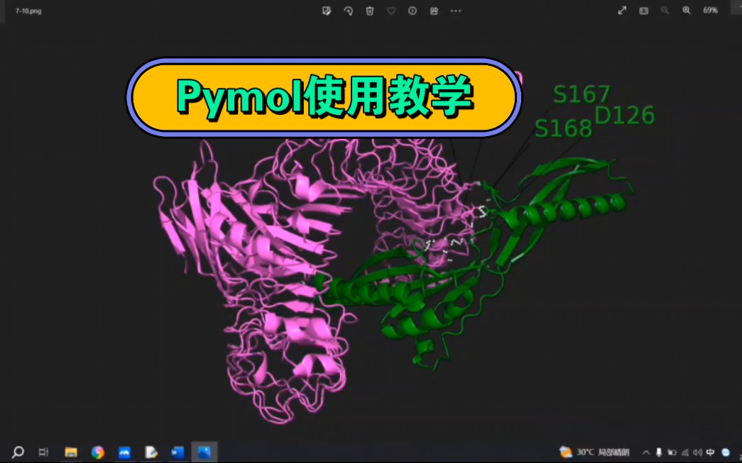 如何使用Pymol对两蛋白结合位点进行标注?有需要的小伙伴们看一下吧