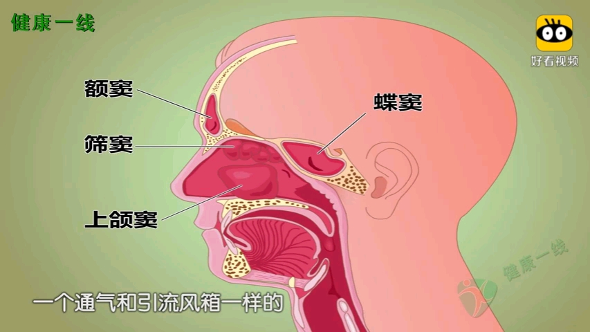 鼻窦炎和鼻炎是一种病吗?