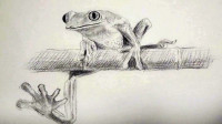 动物素描入门技巧,2分钟教你画竹竿上的青蛙,简单又逼真