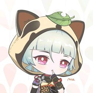 小狸猫原神
