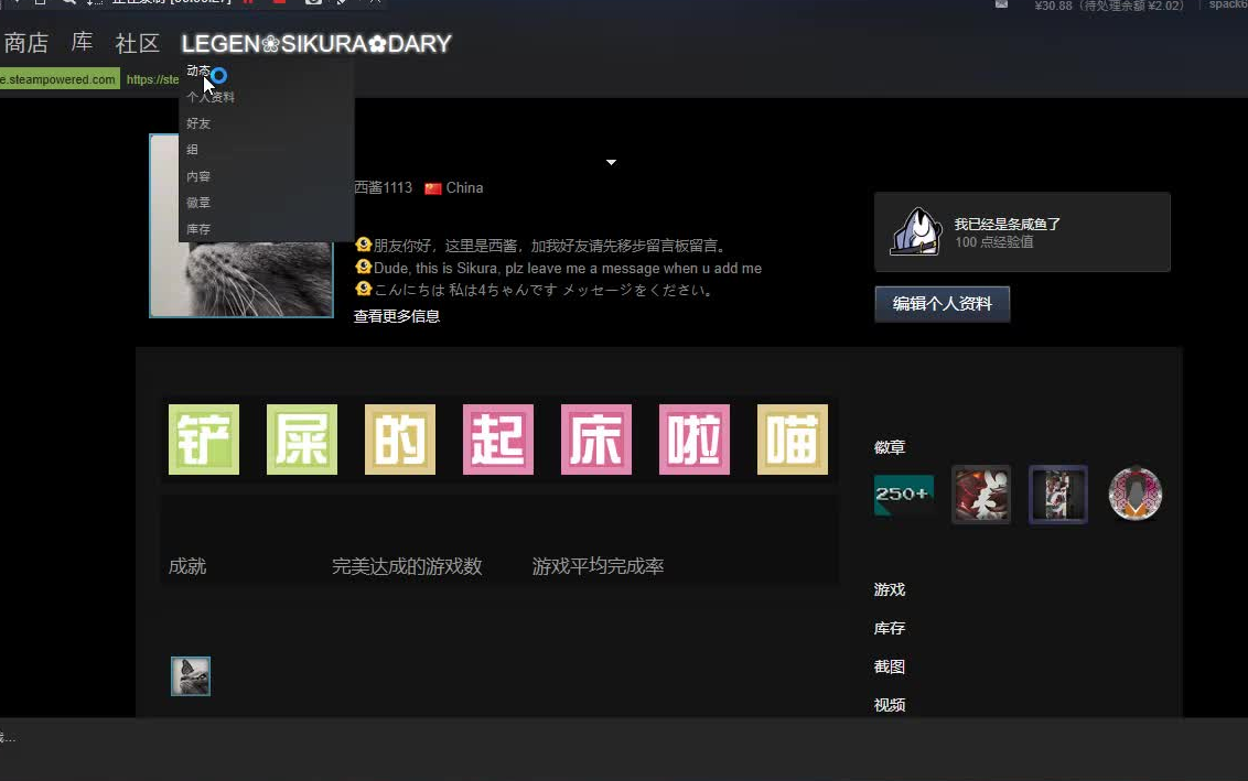 【西酱解说】设置永久打开steam社区的方法