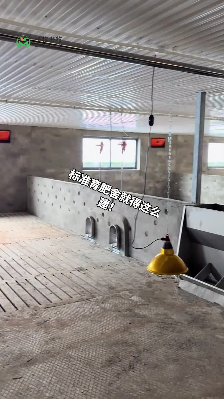 ...保温灯pvc吊顶保障室内温度!pvc提拉门,更耐用#标准育肥舍# #现代化...