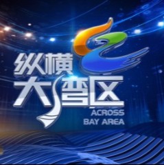 纵横大湾区 