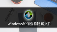 Windows如何查看隐藏文件 小白教你如何设置