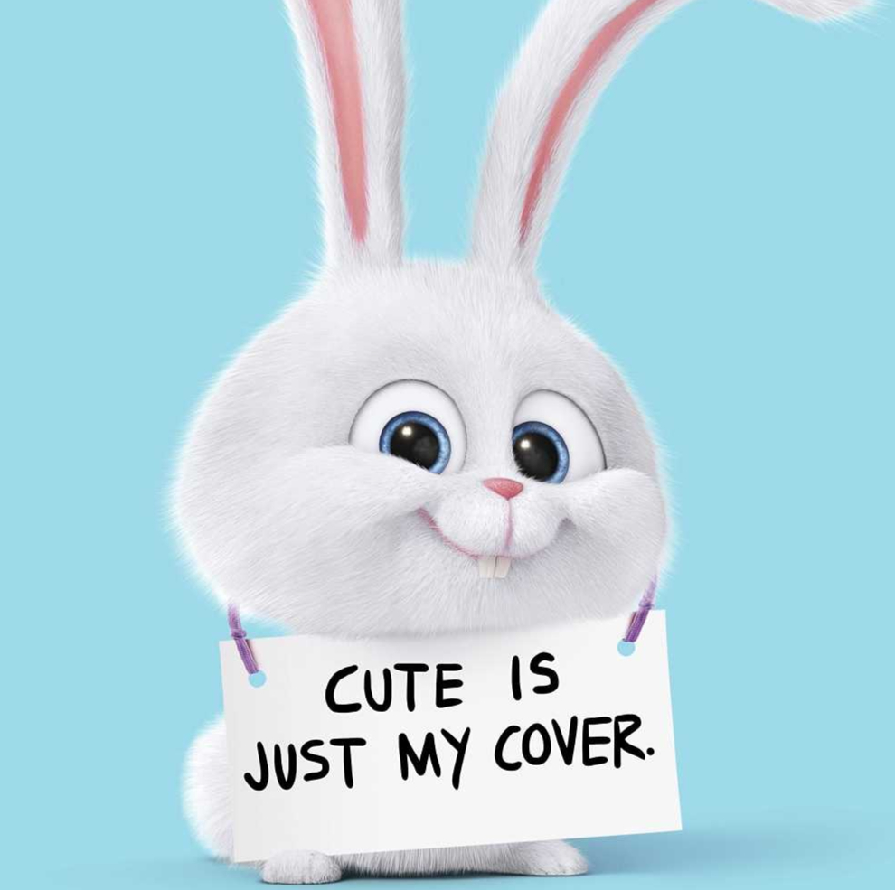 Low-Key_Rabbit 