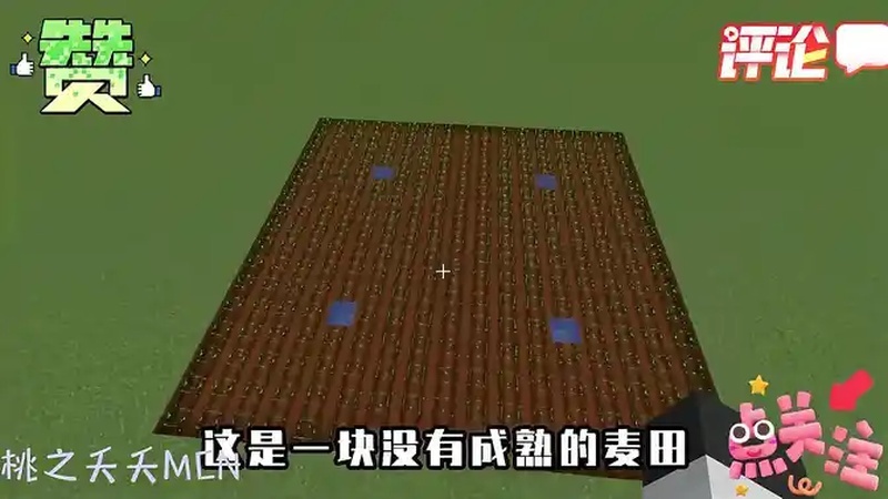 我的世界:爱心的简单画法使用植物方块,可以画出三色爱心