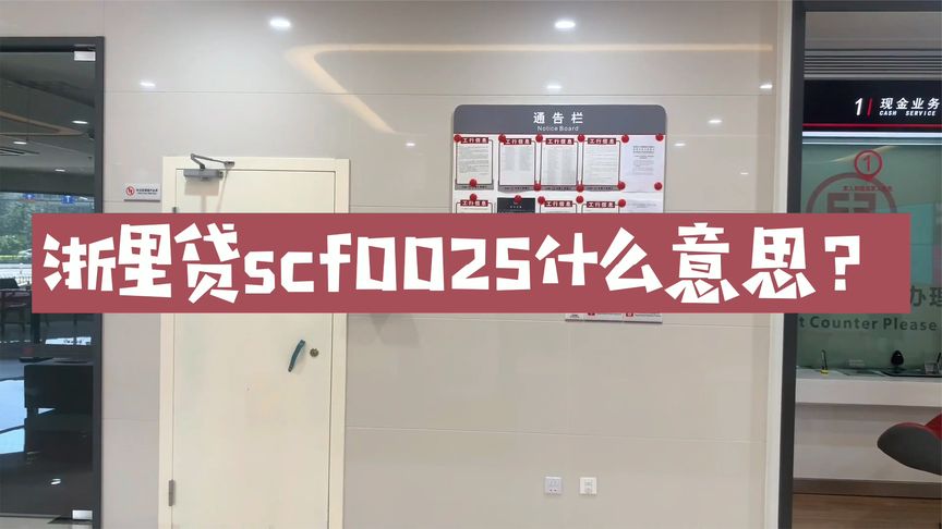浙里贷scf0025什么意思?