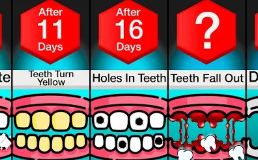 时间表:如果你从未停止刷牙怎么办?