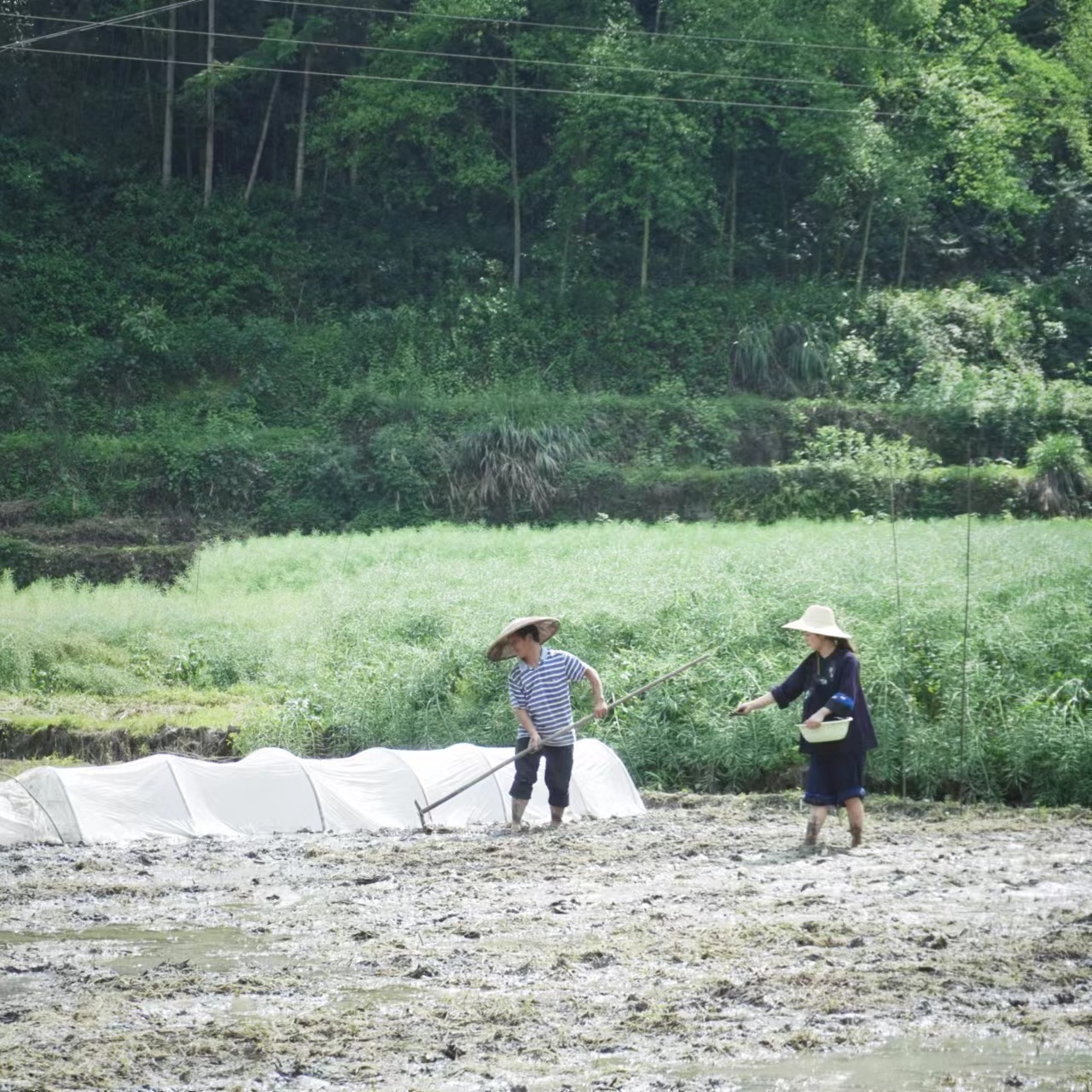 二航的乡村生活 