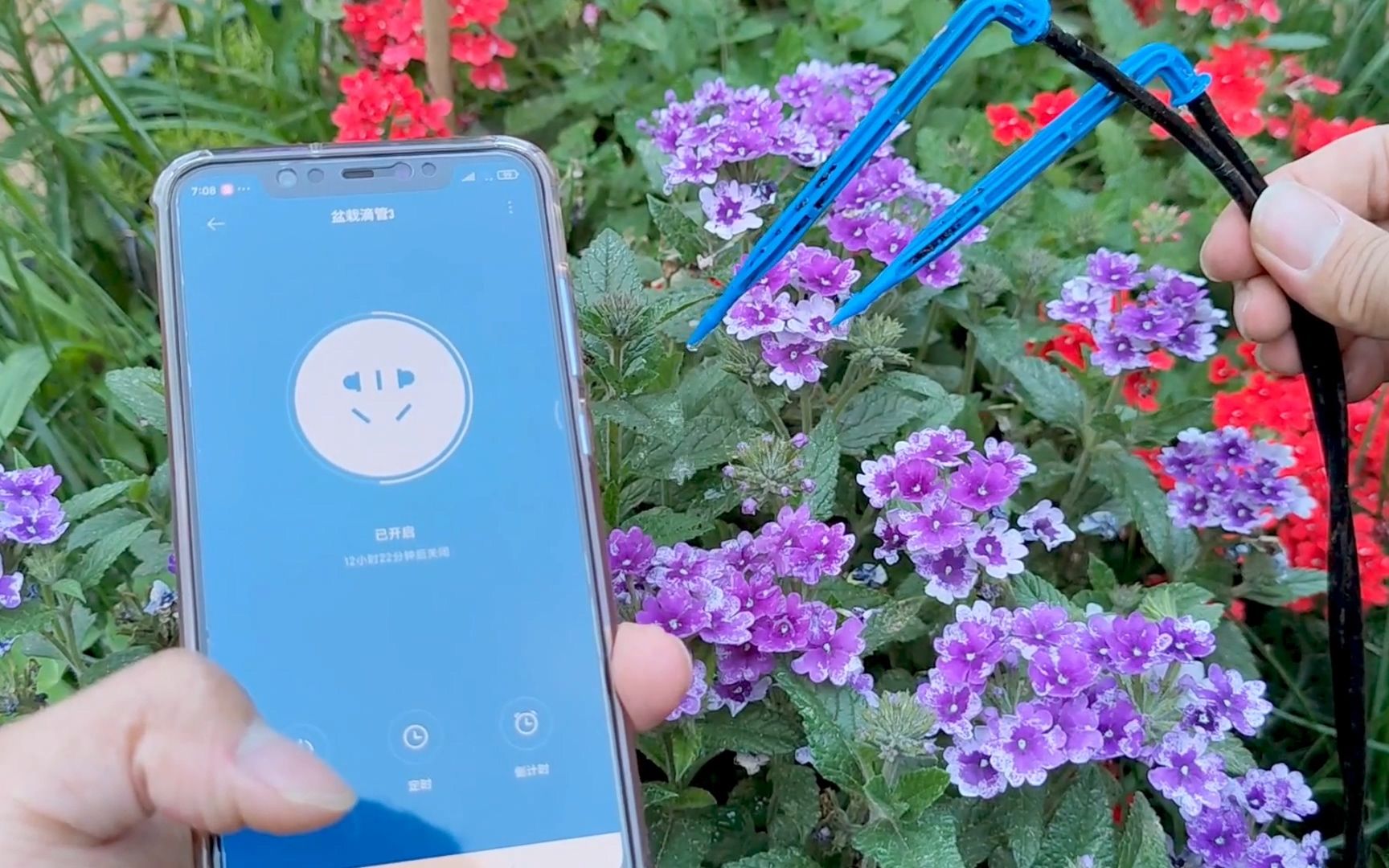 自制手机远程浇花系统,不到100元,家庭养花再也不担心浇水
