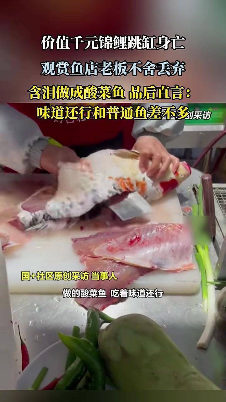 一价值千元锦鲤跳缸身亡,主人"含泪"做成酸菜鱼,品后直言:味道还行