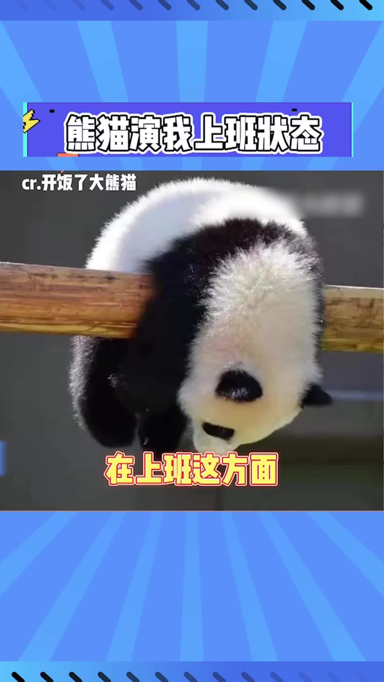 不就是上班摸个鱼,没什么大不了的!