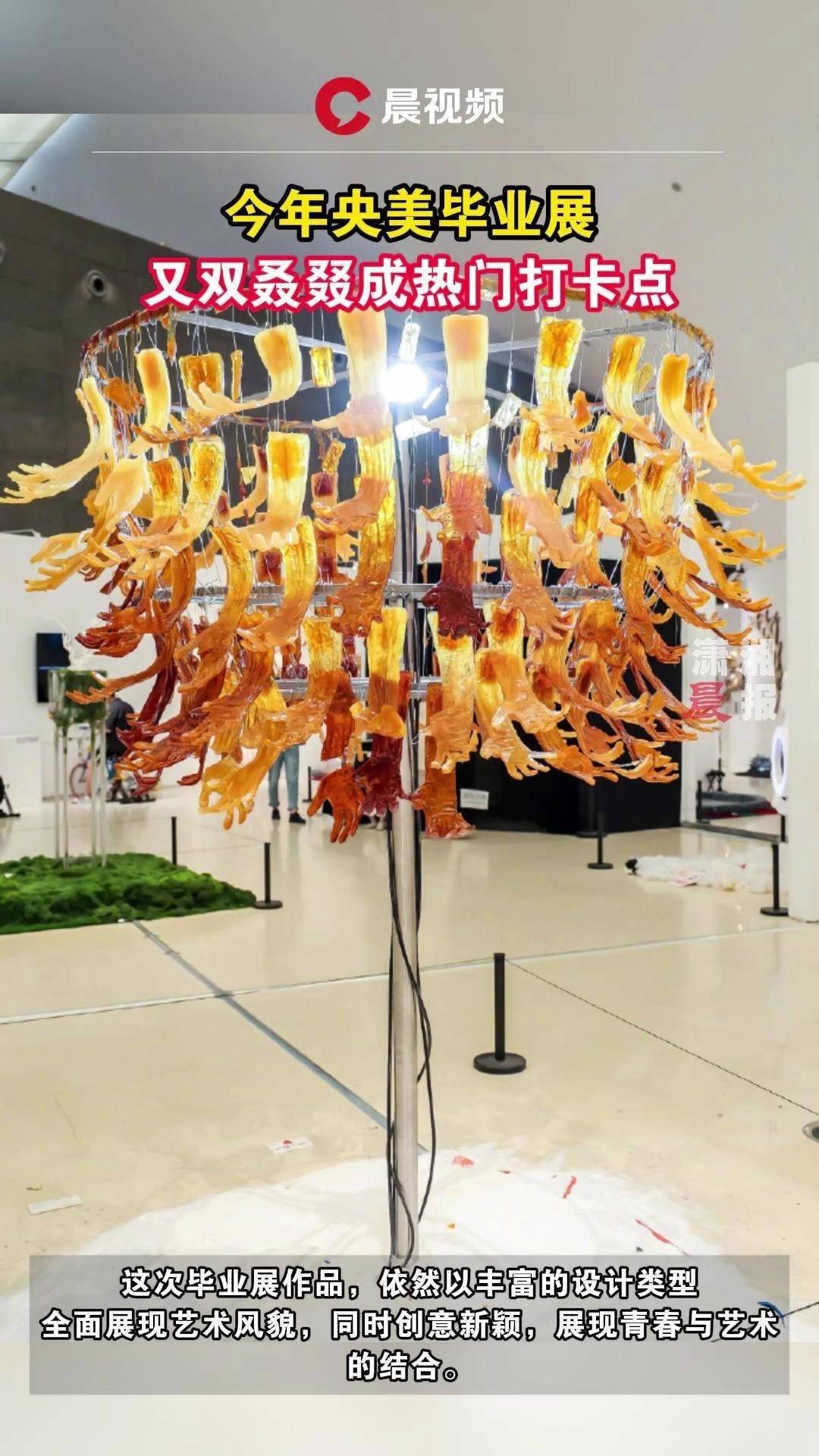 今年央美毕业展又双叒叕成热门打卡点