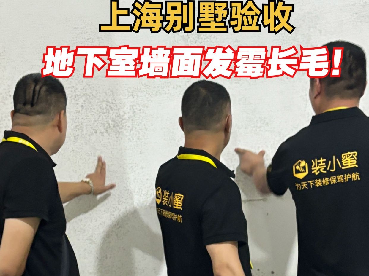 别墅地下室长毛发霉