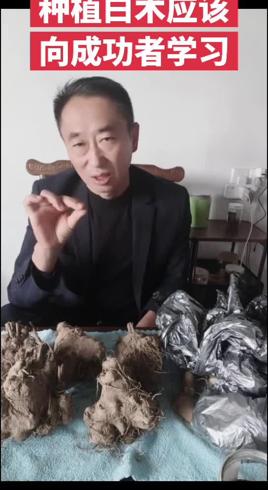 种植白术应该向种植白术成功者学习,要相信科学管理技术方案,做好...