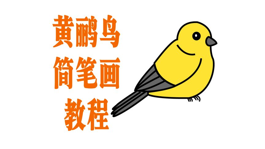 漂亮黄鹂鸟简笔画教程,小朋友儿童宝宝学画画大全,如何画黄鹂鸟