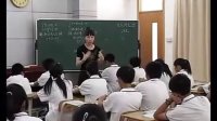 二元一次方程组——新课标广东省初中数学名师课堂实录