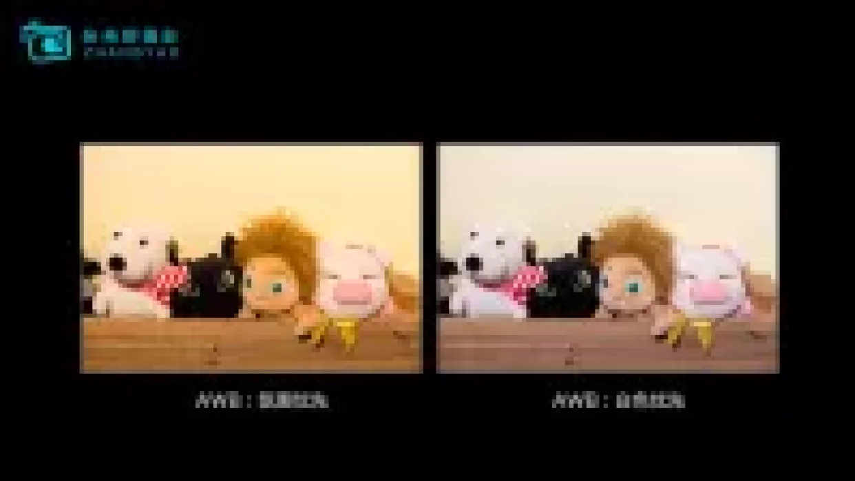 佳能EOS R微单入门操作09:LOCK键/录像键