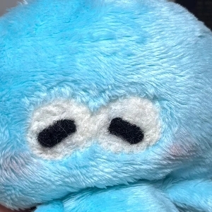 蛮颓镇鲑鱼批发老板 