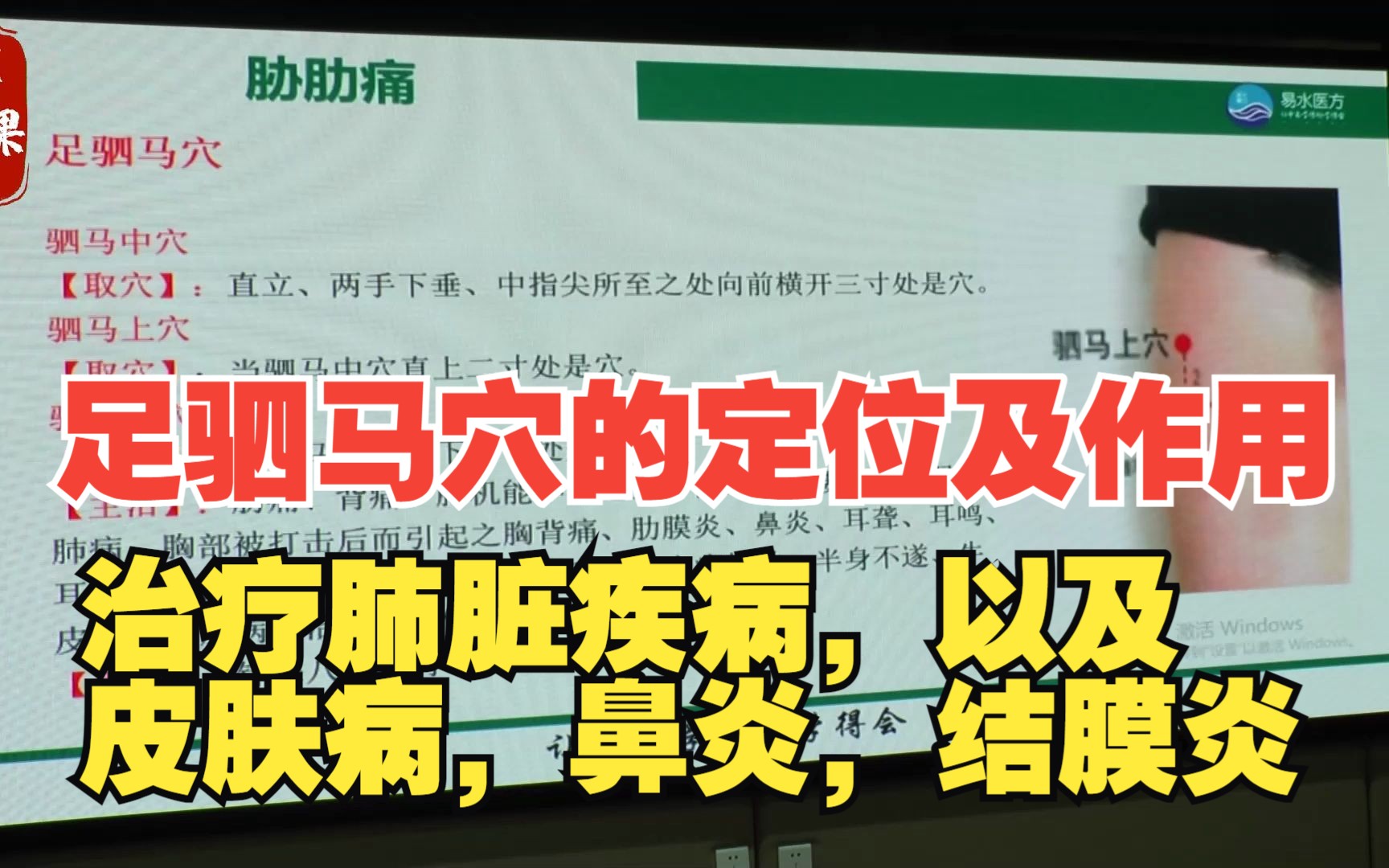 足驷马穴的定位及作用,治疗肺脏疾病,以及皮肤病,鼻炎,结膜炎