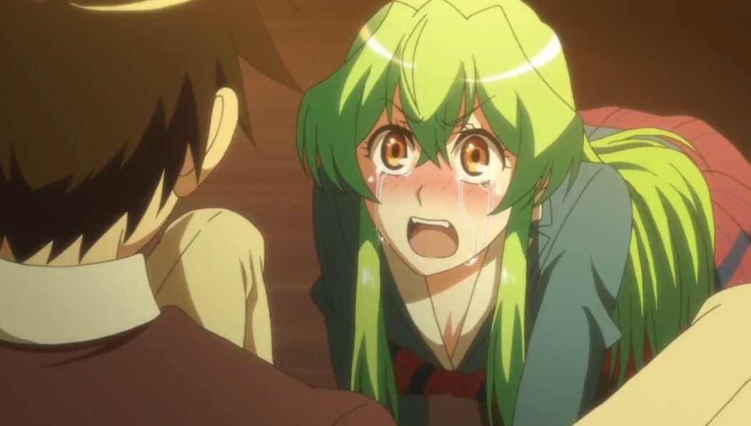 动漫:男主把外星人和吸血鬼收为老婆,搞笑后宫剧