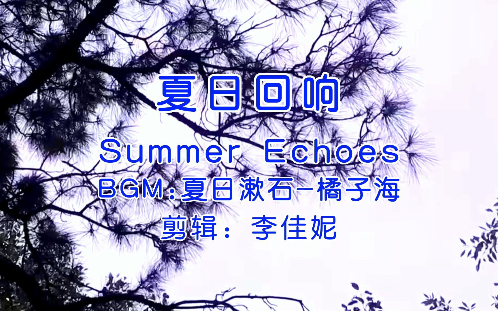 【南师附中江宁分校】高中部2020级社会实践实录——《夏日回响》