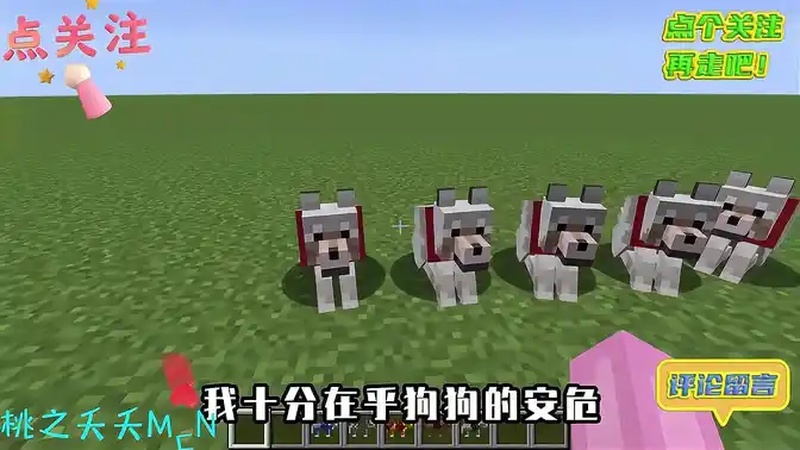 我的世界:可以给狗狗穿上盔甲?还能给狗狗挂上小箱子