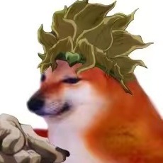 武当山大黄狗爱之列车 