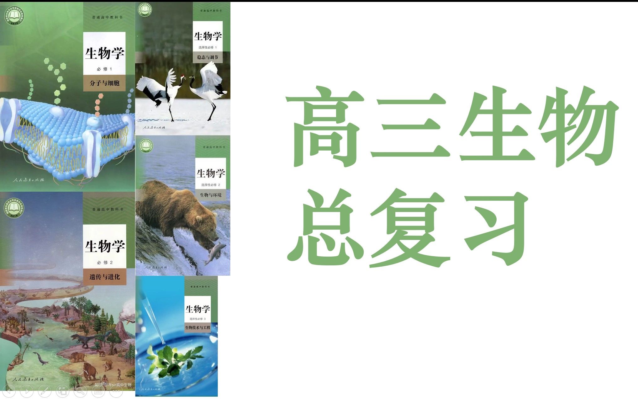高三生物总复习-生物学中的内环境稳态及其调节机制