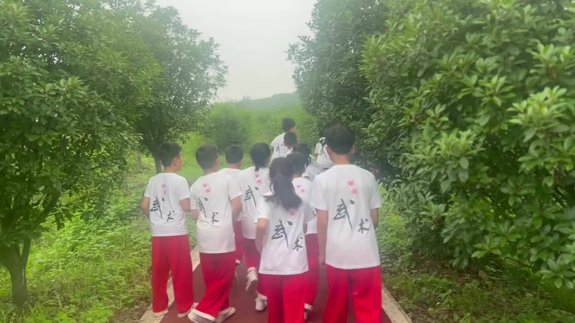 ...迅速整理好行装,迎着细雨开始了晨跑。他们的身影在雨幕中穿梭,仿佛...