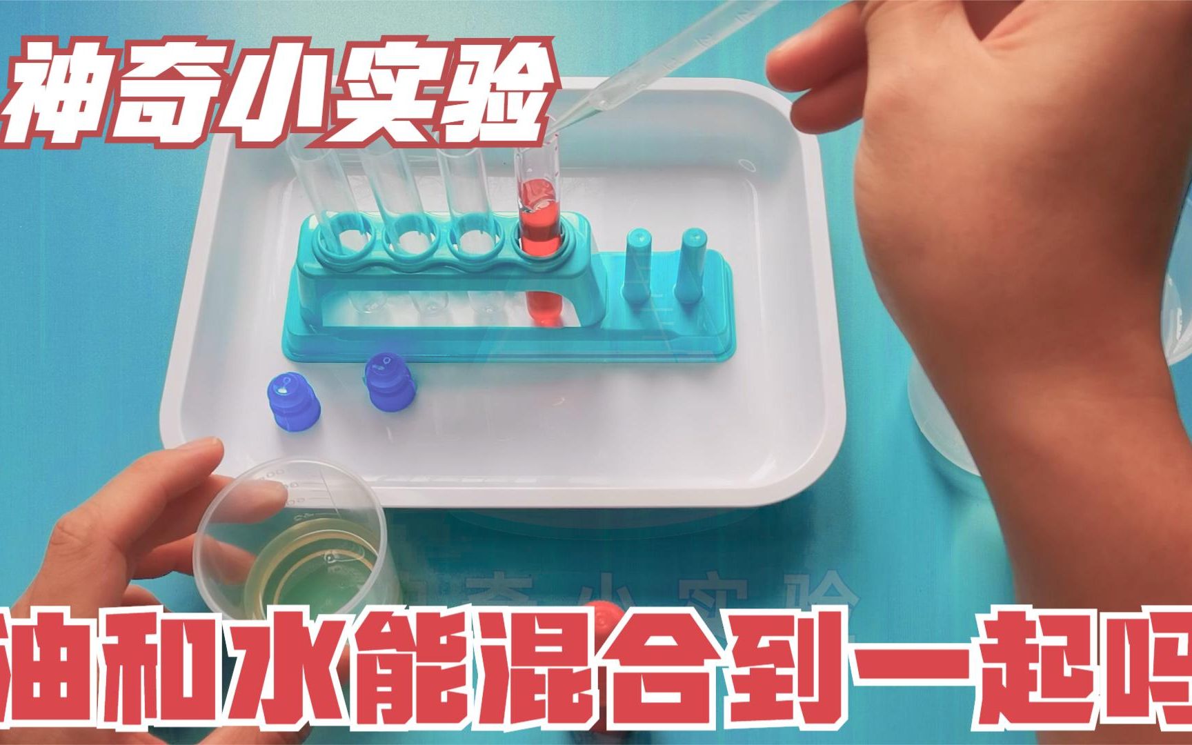 神奇小实验,油和水之间的战斗,混合和分离小实验,简单神奇有趣
