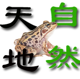 天地自然保护团队 