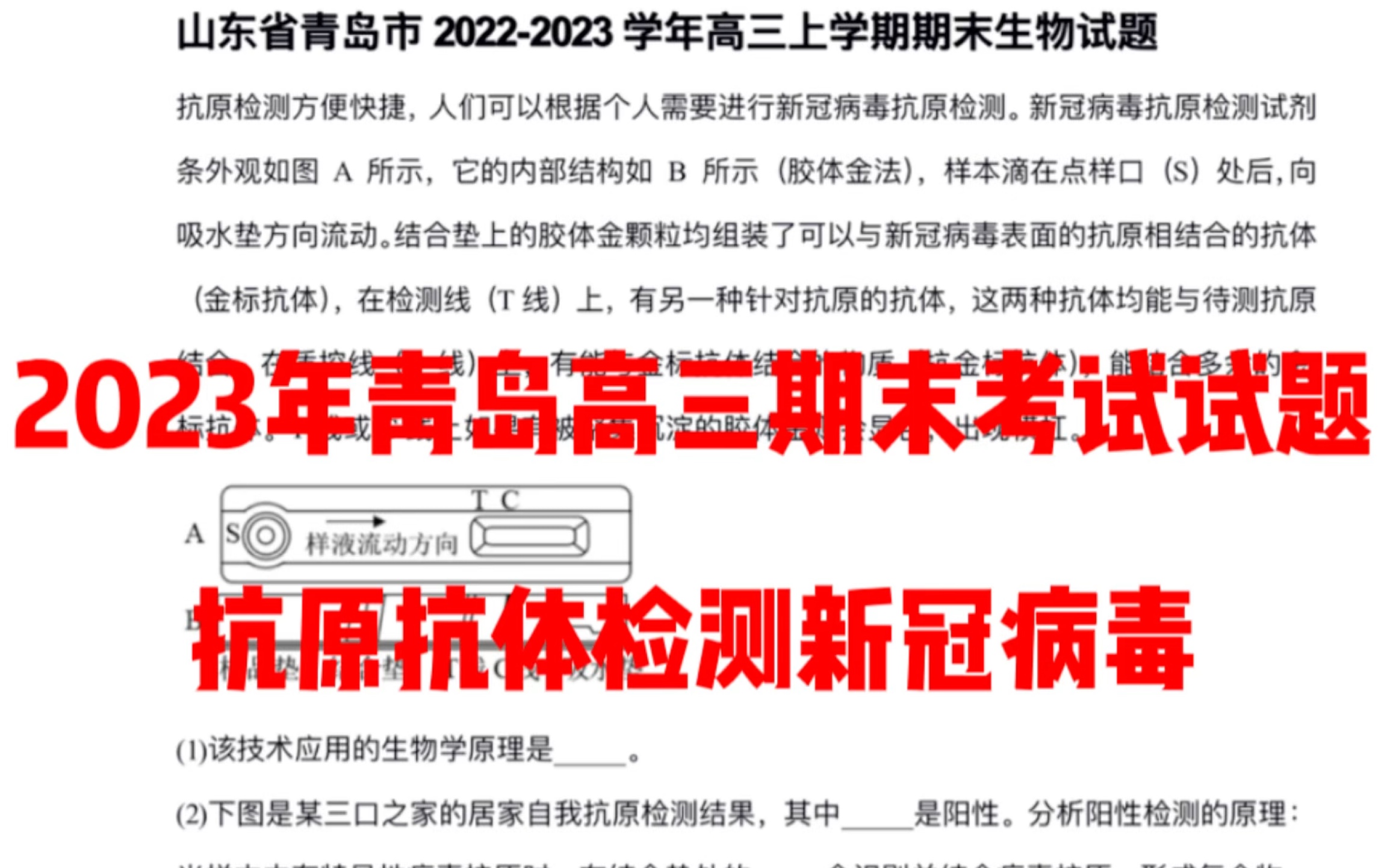 2023年青岛高三上学期期末考试试题,抗原检测新冠病毒,什么是胶体金...