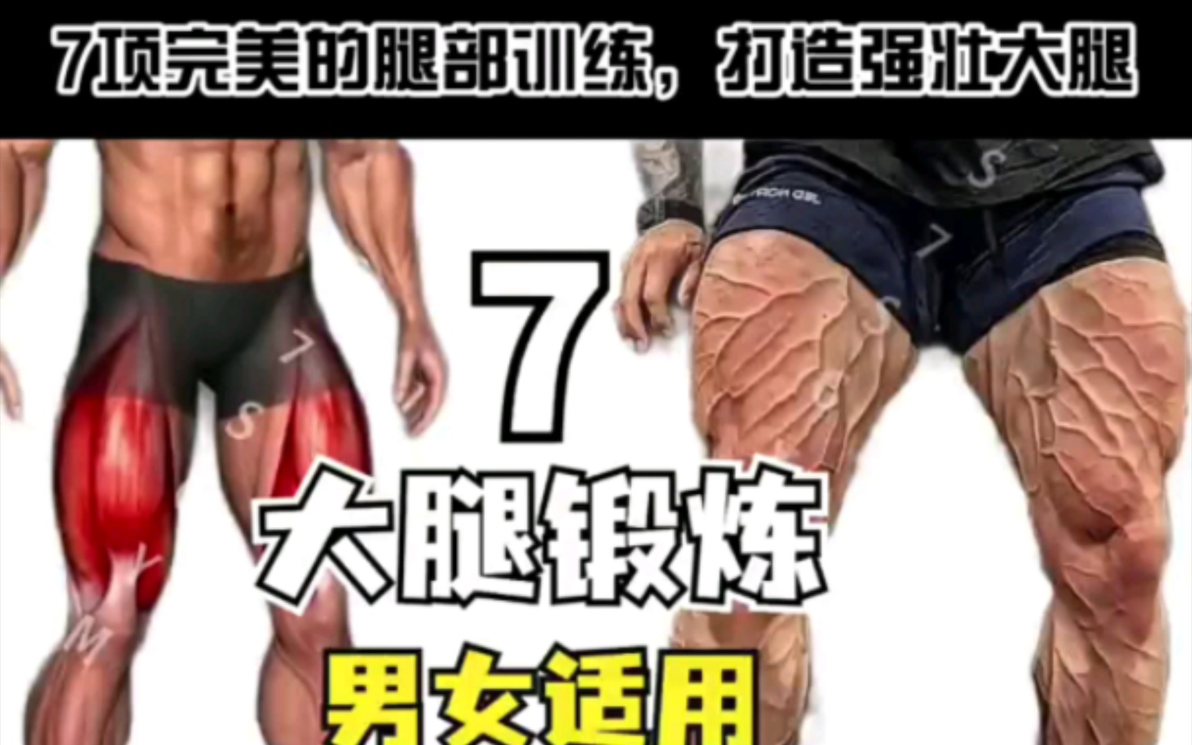 完美的腿部训练,打造强壮大腿,包含7个动作可以练到下肢全部肌群,...