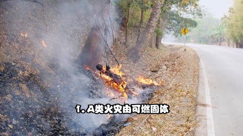 泡沫灭火器适合用于灭什么火