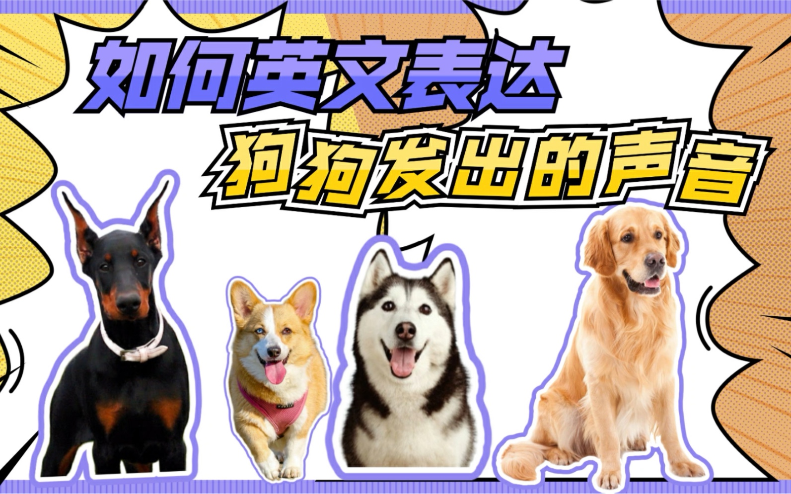 如何用英文表达狗狗发出的声音