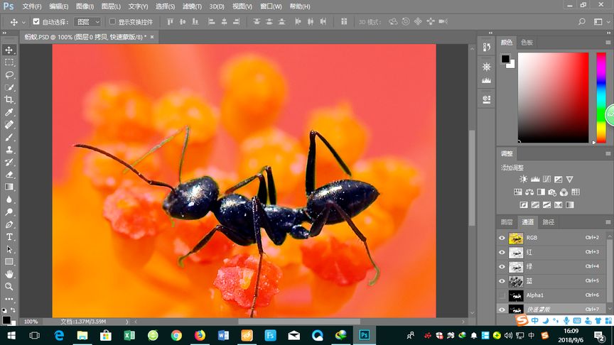Photoshop教程92.滤镜库的使用方法
