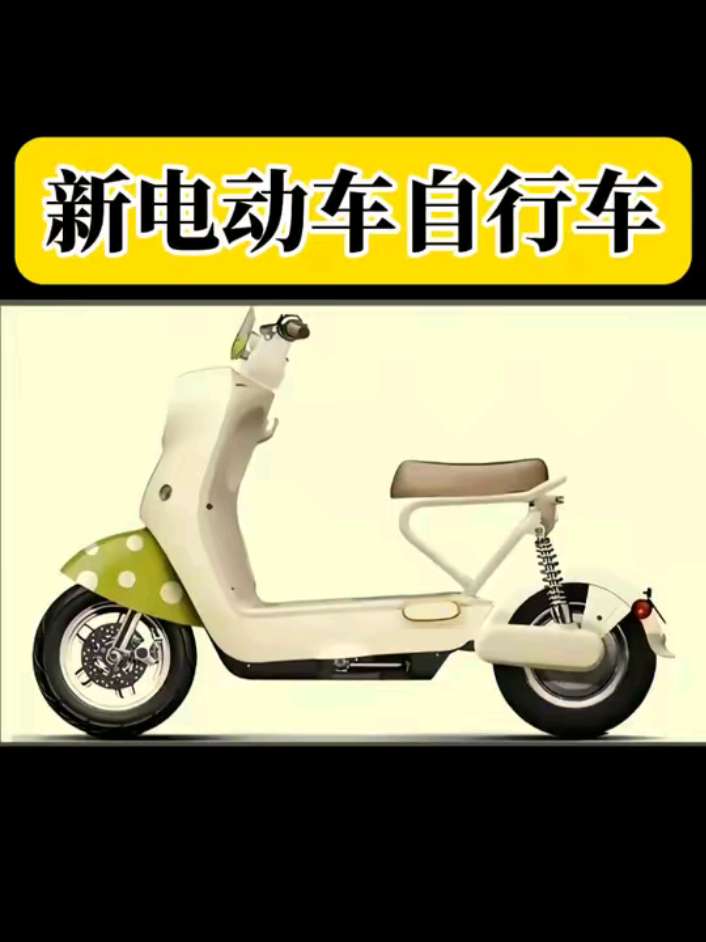 新标准电动自行车 #交通工具 #电动车