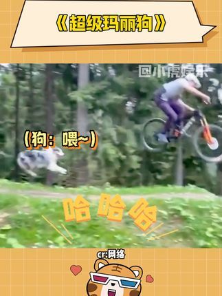 ...成习惯,就不好再改了~ #户外极限运动#狗子成精了 #动物的迷惑行为