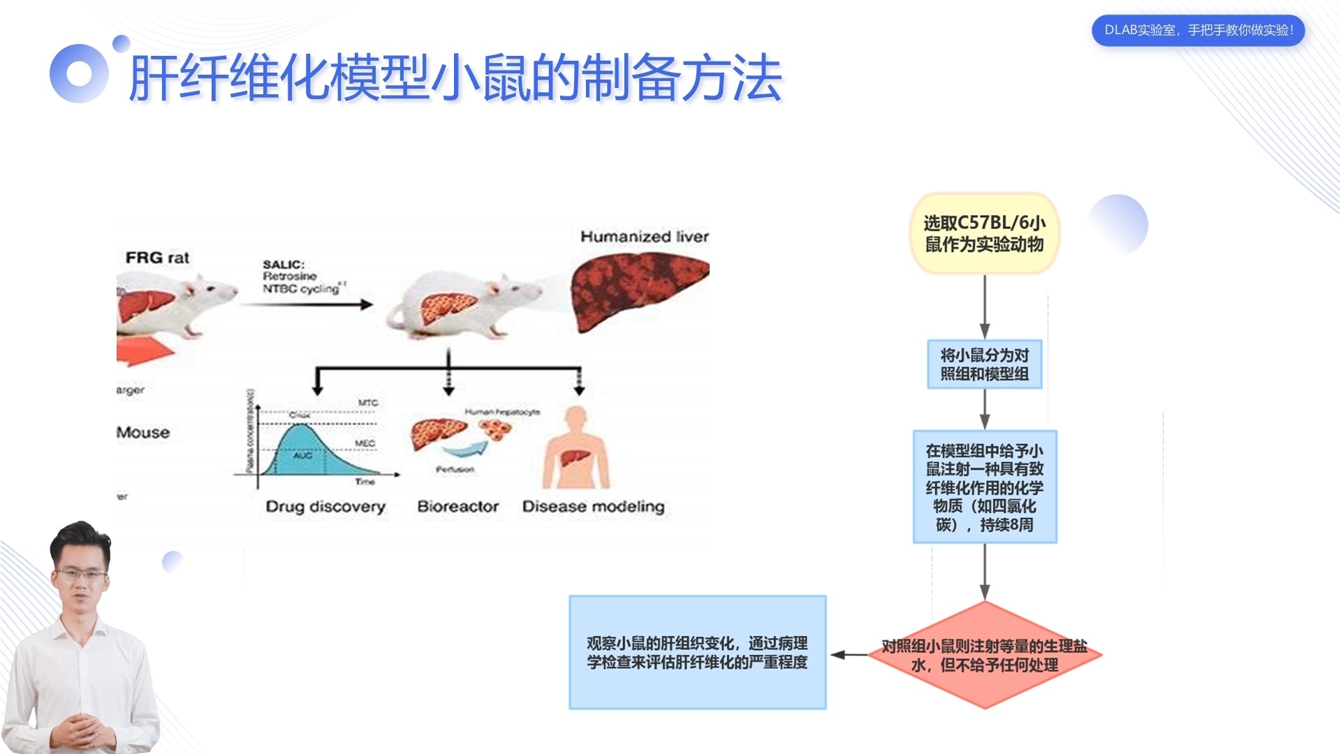 常见小鼠动物模型构建速成:帕金森、糖尿病、肾病、肺纤维化