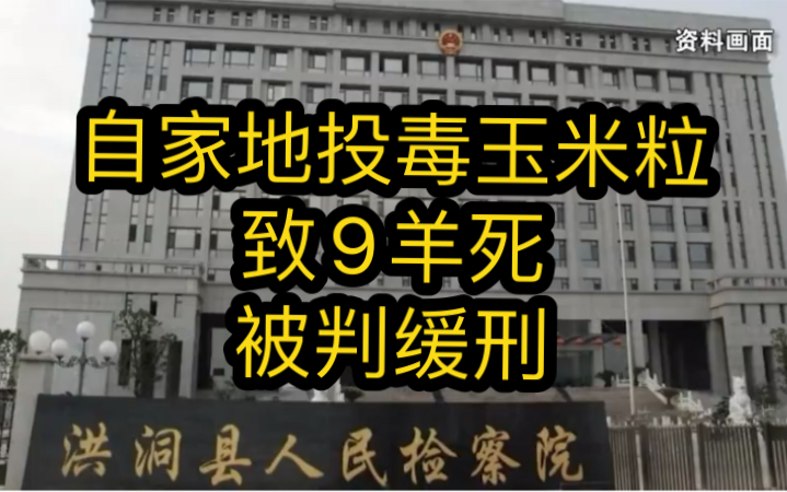 村民在自家地里投有毒玉米粒防羊破坏毒死9只羊 法院:有警示牌也不行...