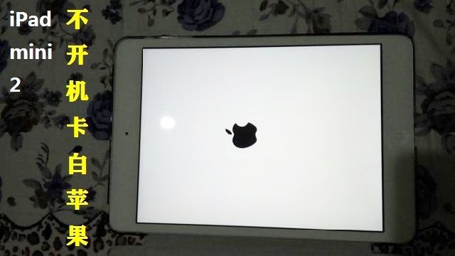 iPad mini2不开机卡白苹果,哪里出现了问题!