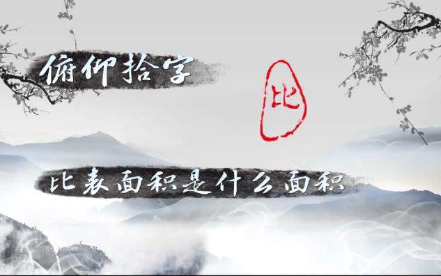 俯仰拾字之“比”——比表面积是什么面积