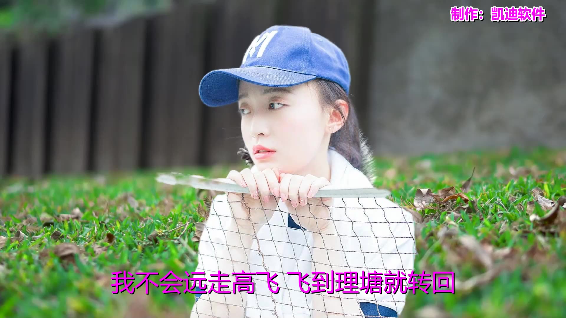 《情歌》经典歌曲,唱歌有mv的手机软件