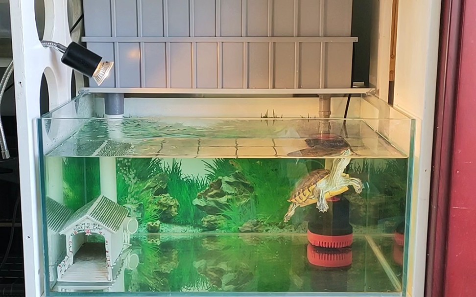 养龟滴流盒上市