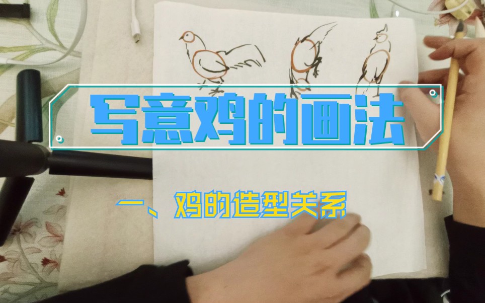 汉翔寒假国画知识点梳理禽鸟——鸡的画法1造型关系