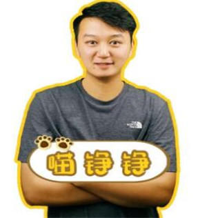 喵铮铮宠物知识