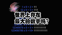 世界上是否存在最大的数字?