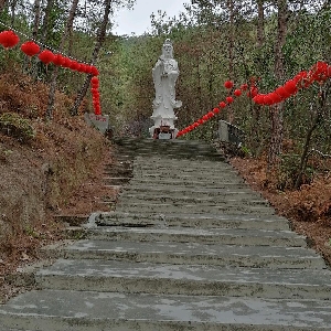 一路朝西 