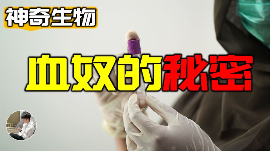 什么血型最危险?血奴事件背后的真相,看完清楚了解血型的秘密